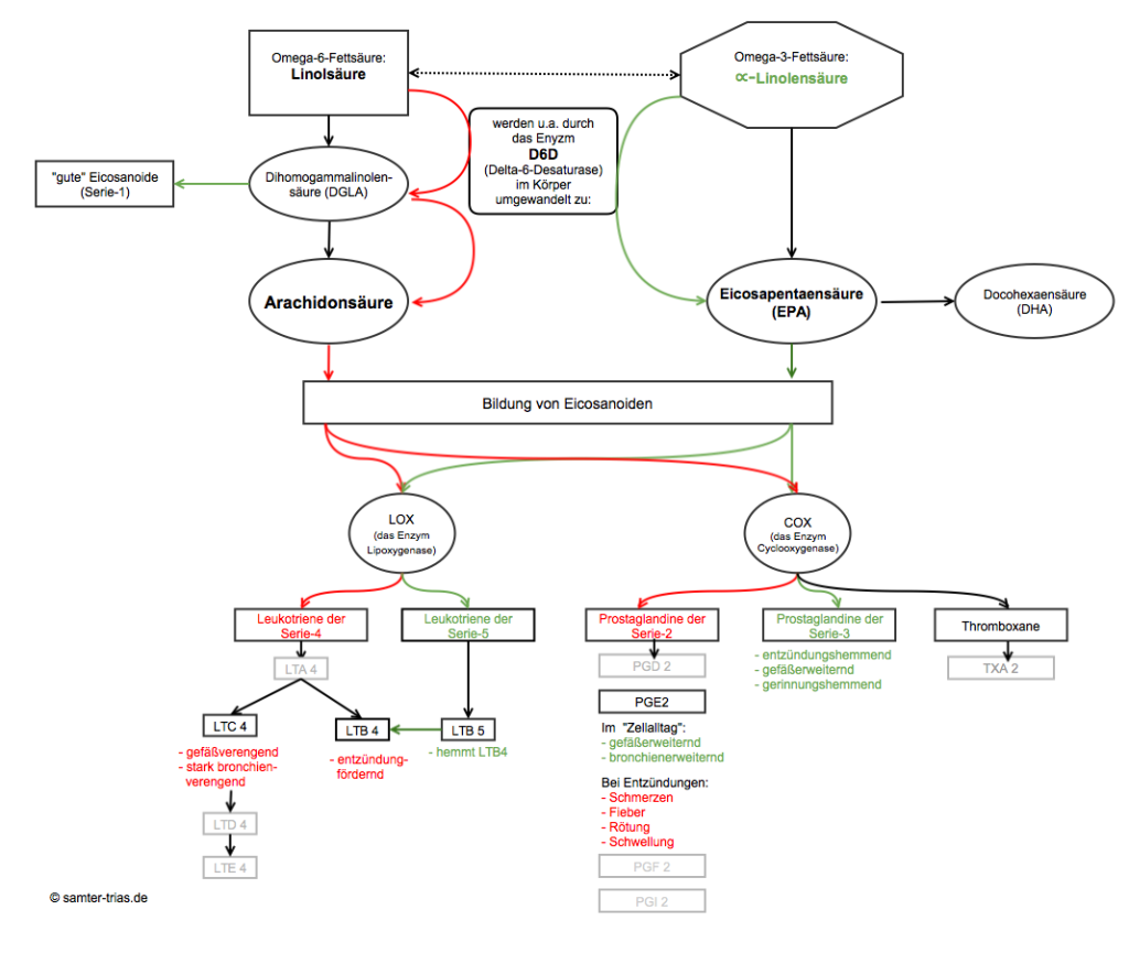 Arachidonsäure und Samter-Trias – Samter-Trias